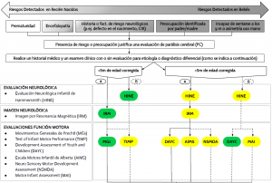 La Hammersmith Infant Neurological Examination (HINE) – Álvaro Hidalgo ...